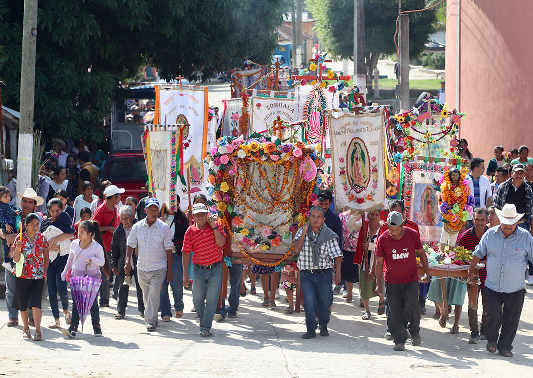 Homilía Dominical: Jesús se compadece de las multitudes